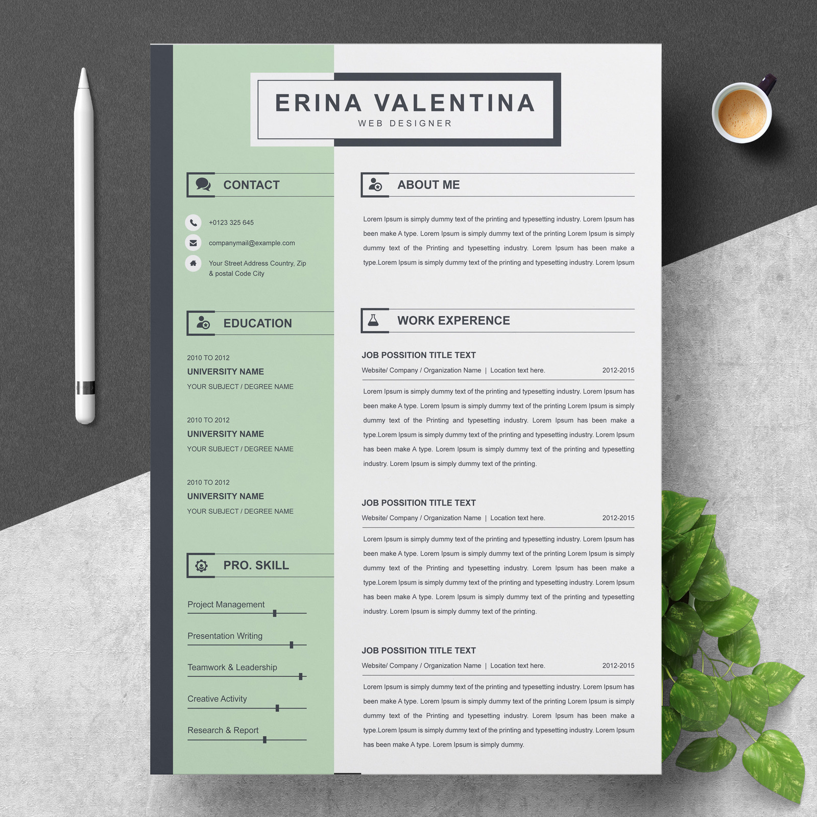Erina Resume Template #82319 - TemplateMonster